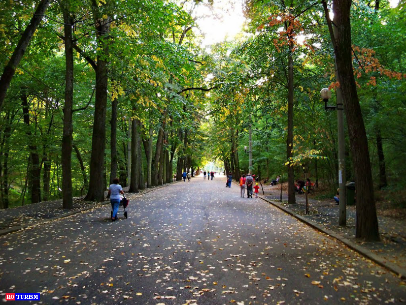 De ce nu e pădurea Trivale un simbol al Piteştiului? – Ziarul Argeşul ...