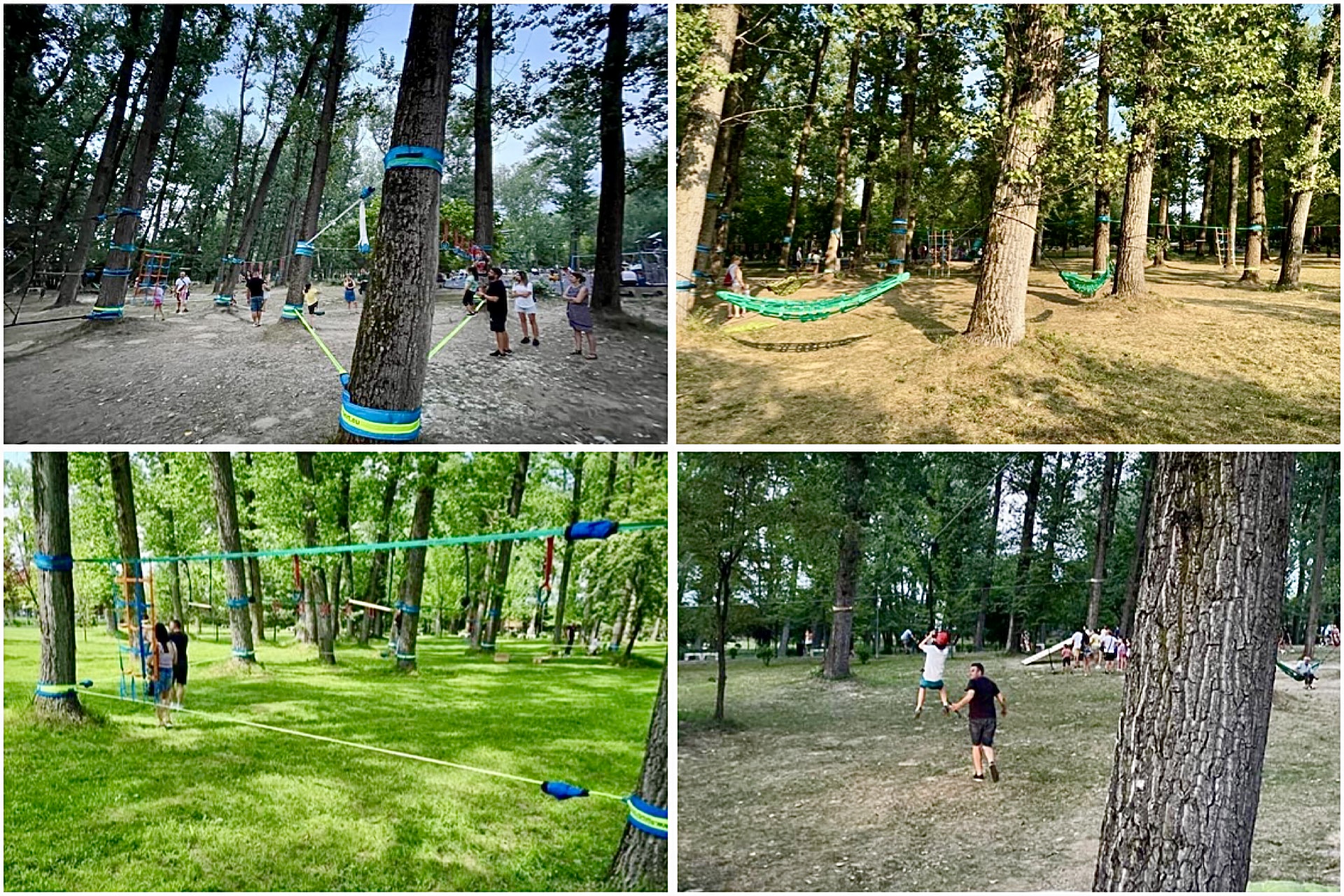 Distracție pe cinste! Aventura Parc, noutate în Lunca Argeșului ...