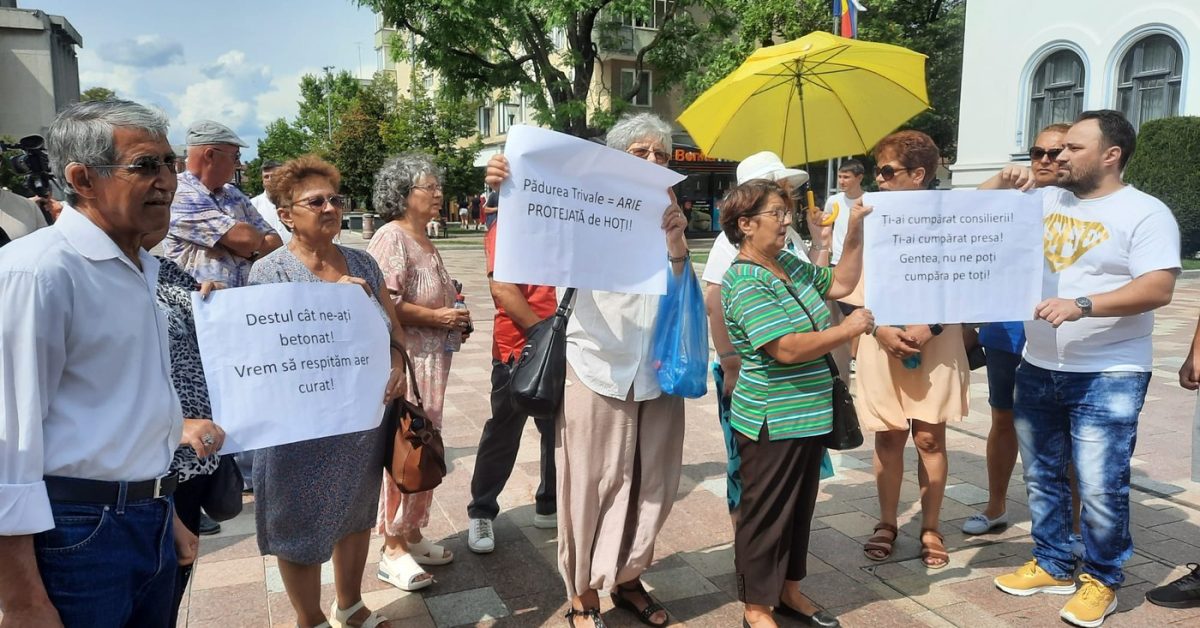 Trivale: Pădure-parc sau arie protejată? – Ziarul Argeşul - ediţia online