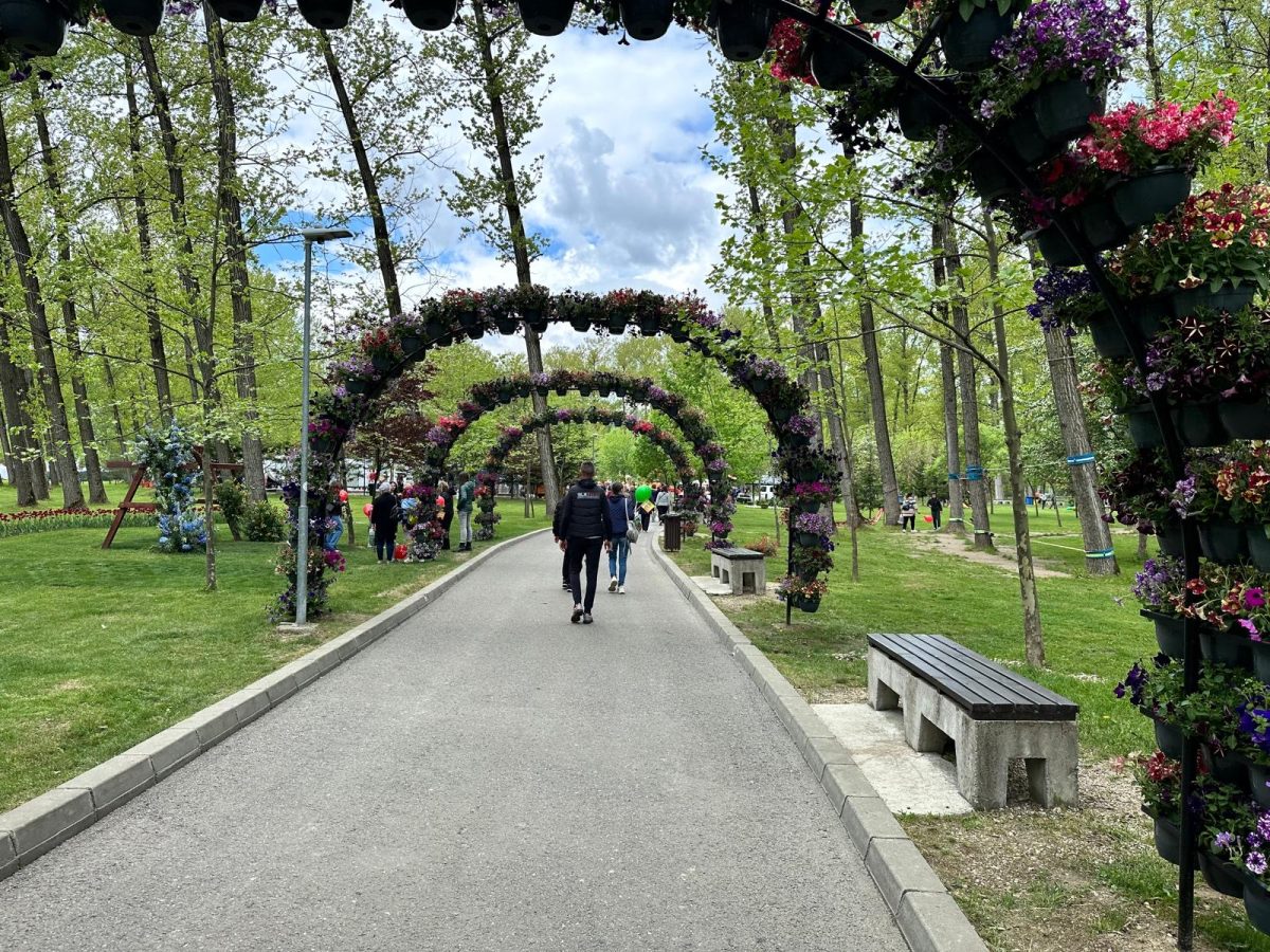 Simfonia Lalelelor, imagini spectaculoase din Parcul “Lunca Argeșului ...