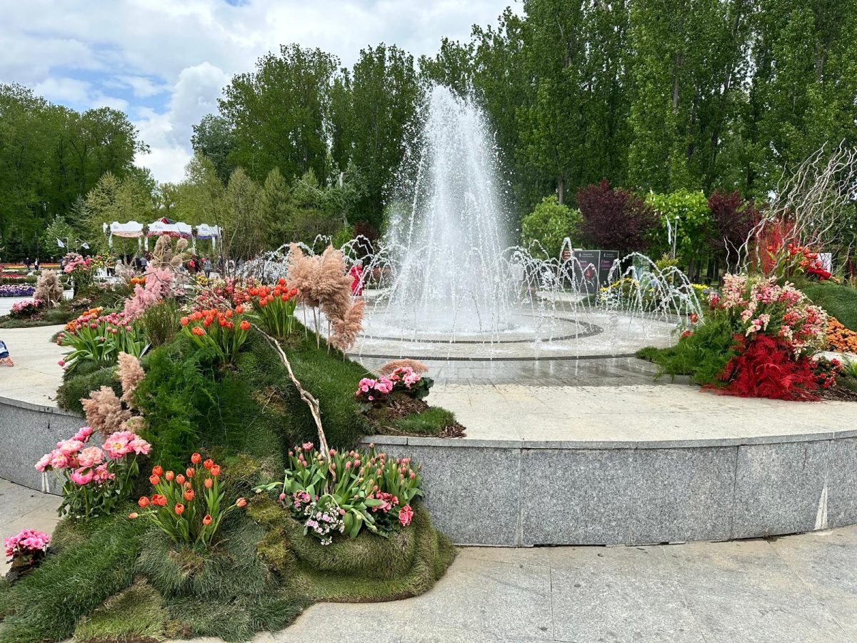 Simfonia Lalelelor, imagini spectaculoase din Parcul “Lunca Argeșului ...
