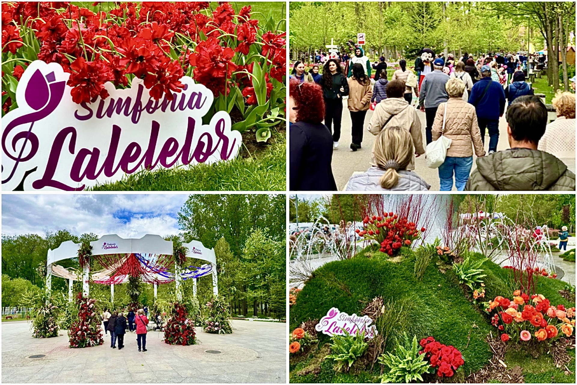Simfonia Lalelelor, imagini spectaculoase din Parcul “Lunca Argeșului ...