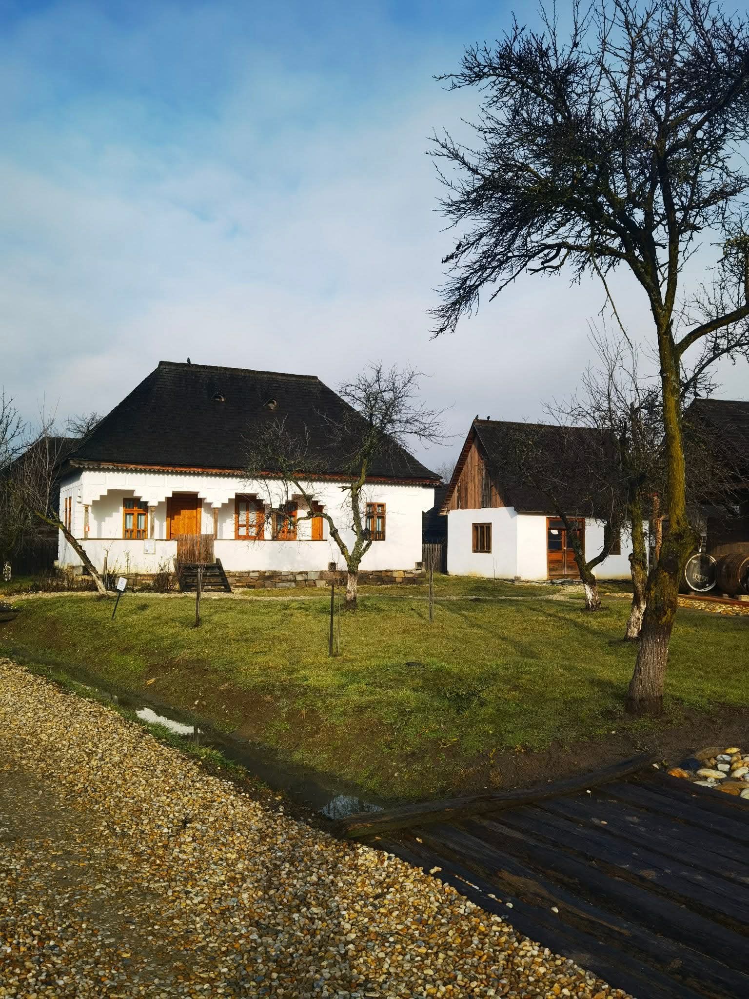 Premieră în Argeș, la Golești. Trifonul viilor, obicei uitat, reînviat ...