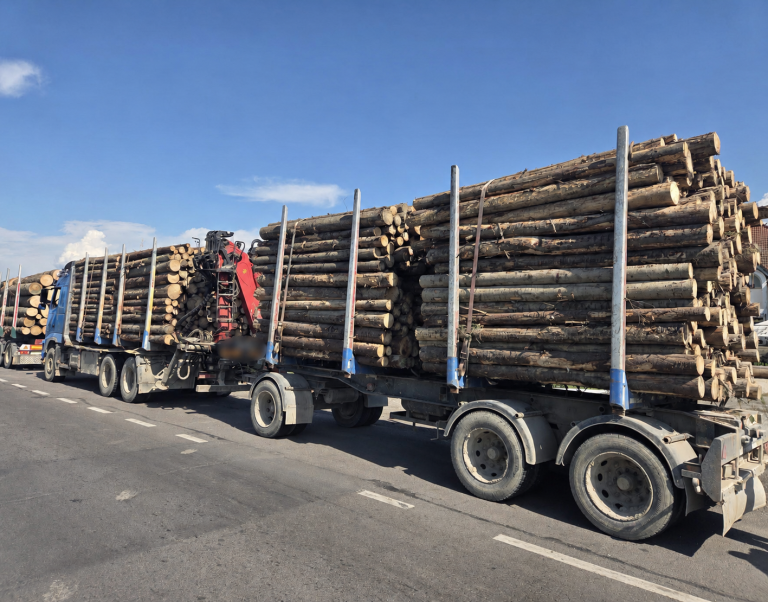 Transport ilegal de lemn depistat la Corbi: Un camion a fost ...